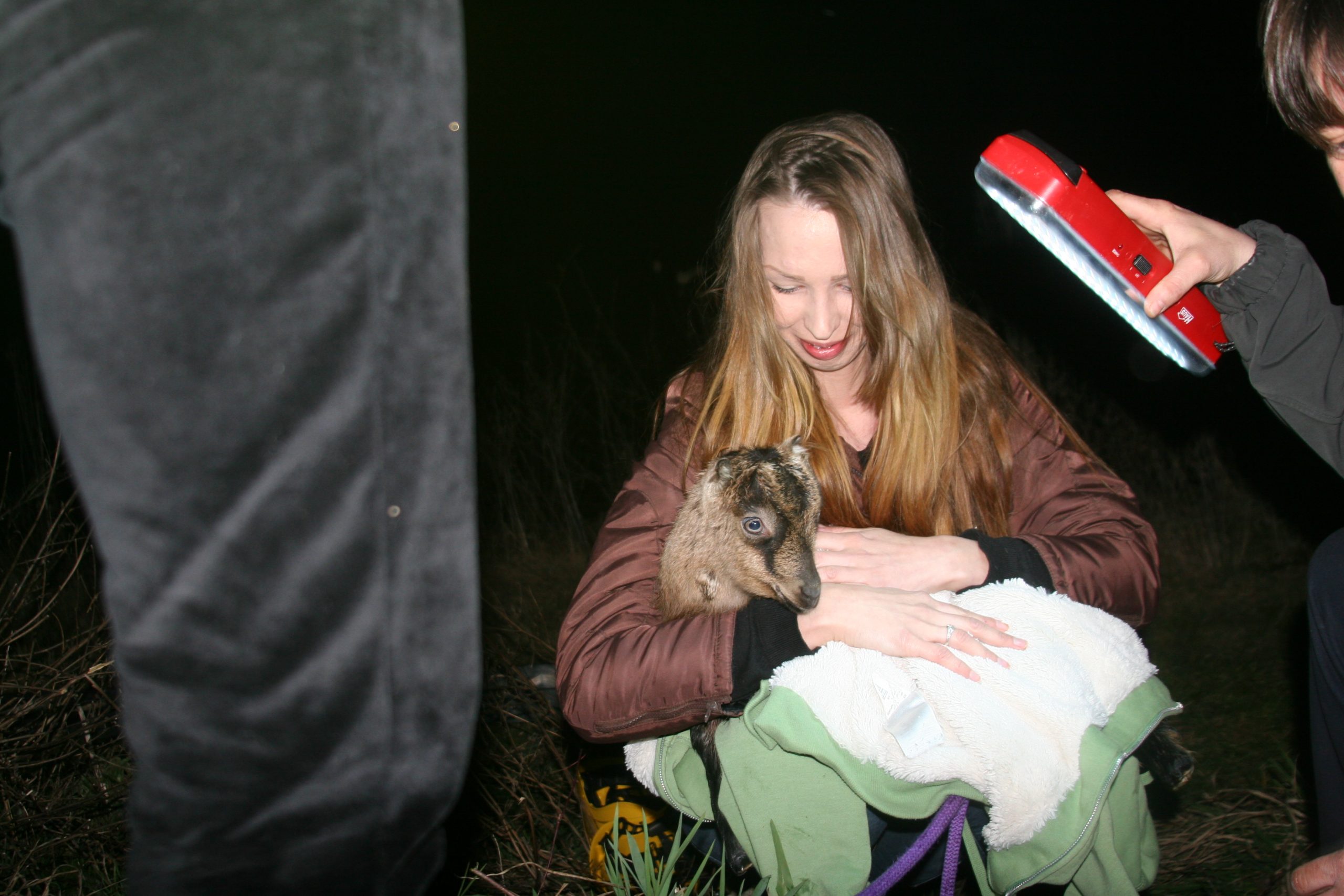 Animal Rescue Serbia: Kada je svaki život važan - O-RUK